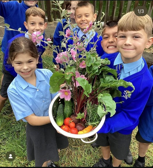 Transforming Outdoor Learning at Warren Mead: The Quad Garden Project ...