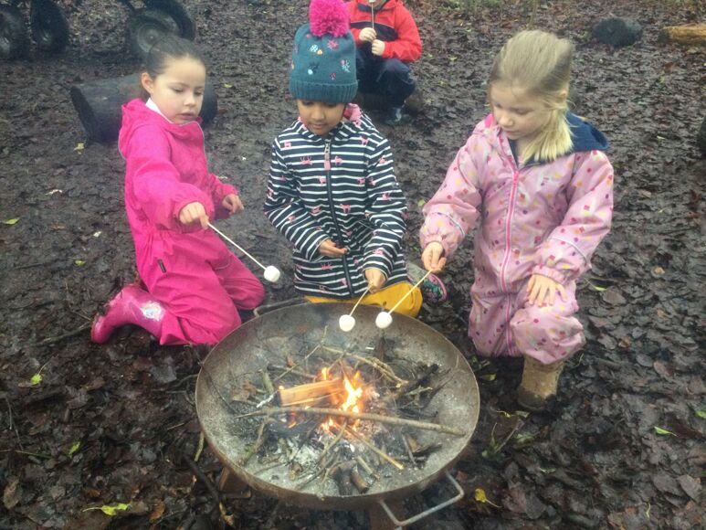 Whyteleafe Primary School Praised by Ofsted inspectors - Latest News ...