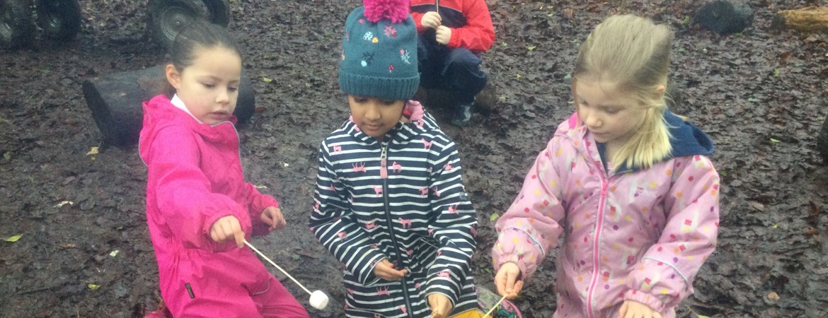 Whyteleafe Primary School Praised by Ofsted inspectors - Latest News ...